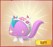 User blog:-icypikachuu/identifying mystery pets: squirrels | Animal Jam ...