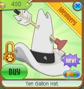 Ten Gallon Hat | Animal Jam Item Worth Wiki | Fandom