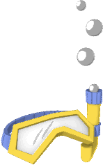 Spring Pool Party Bundle | Animal Jam Item Worth Wiki | Fandom