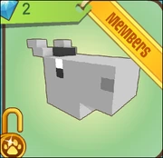 Pixelated Heads | Animal Jam Item Worth Wiki | Fandom