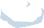 Snow Patch | Animal Jam Item Worth Wiki | Fandom