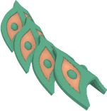Mystical Armor Set | Animal Jam Item Worth Wiki | Fandom