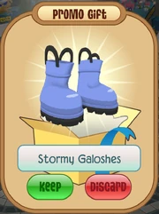 Rainy Day Bundle | Animal Jam Item Worth Wiki | Fandom