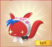 User blog:-icypikachuu/identifying mystery pets: squirrels | Animal Jam ...