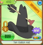 Ten Gallon Hat | Animal Jam Item Worth Wiki | Fandom