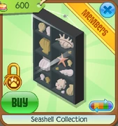 Seashell Collection | Animal Jam Item Worth Wiki | Fandom