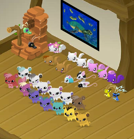 User blog:Army4LiefHehe/Rare pets | Animal Jam Item Worth Wiki | Fandom