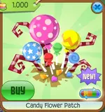 Jammer Party Shop Items | Animal Jam Item Worth Wiki | Fandom