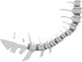 Bone Tail | Animal Jam Item Worth Wiki | Fandom