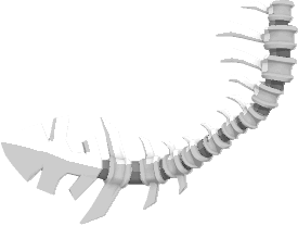 Discuss Everything About Animal Jam Item Worth Wiki | Fandom