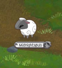 Sheep | Animal Jam Fanon Wiki | Fandom