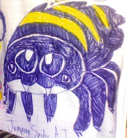 Jumping Spider(Animal) | Animal Jam Fanon Wiki | Fandom