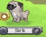 Dog | Animal Jam Fanon Wiki | Fandom