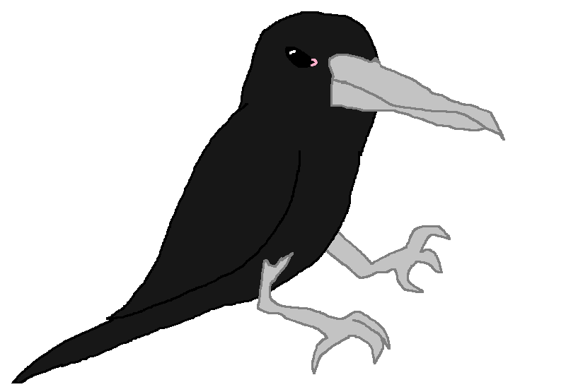 Raven | Animal Jam Fanon Wiki | Fandom