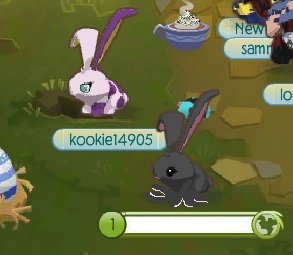 Octopus Tentacles | Animal Jam Fanon Wiki | Fandom
