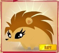 Pet Hedgehog | Animal Jam Fanon Wiki | Fandom