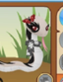 Snake | Animal Jam Fanon Wiki | Fandom