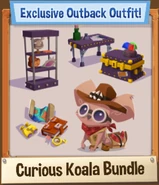 Koala | Animal Jam Wiki | Fandom