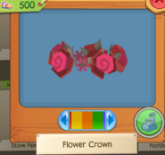 Flower Crown | Animal Jam Wiki | Fandom