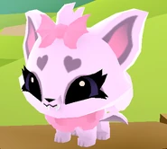Count Fabulous (Cat) | Animal Jam Wiki | Fandom