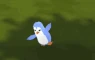 Penguin | Animal Jam Wiki | Fandom