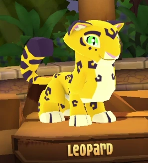 Leopard | Animal Jam Wiki | Fandom