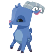 Goat | Animal Jam Wiki | Fandom