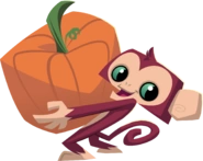 Monkey | Animal Jam Wiki | Fandom