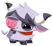 Pet Highland Cow | Animal Jam Wiki | Fandom