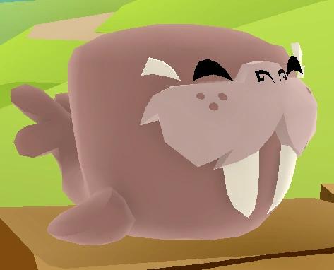 Pet Walrus | Animal Jam Wiki | Fandom