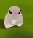 Pet Dove | Animal Jam Wiki | Fandom