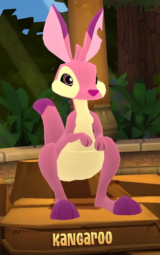 Kangaroo | Animal Jam Wiki | Fandom