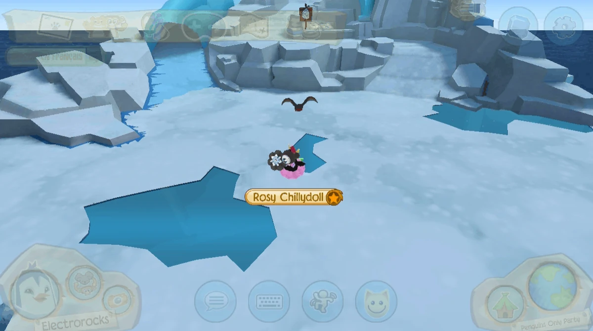 Penguins Only Party | Animal Jam Wiki | Fandom
