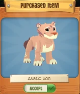 Asiatic Lion | Animal Jam Wiki | Fandom