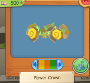 Flower Crown | Animal Jam Wiki | Fandom