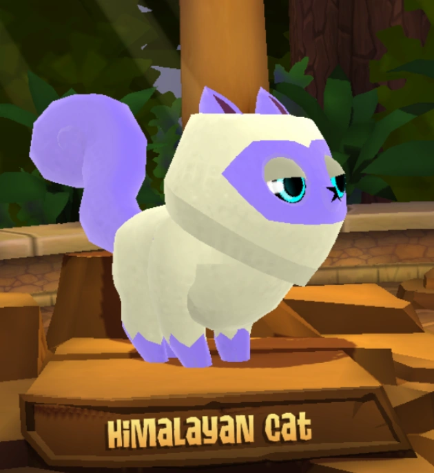 Himalayan Cat | Animal Jam Wiki | Fandom
