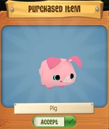 Pig | Animal Jam Wiki | Fandom