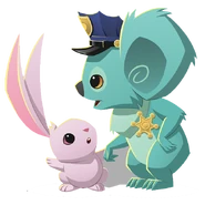 Koala | Animal Jam Wiki | Fandom