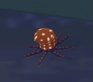 Nocturnal Animals | Animal Jam Wiki | Fandom