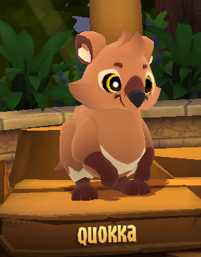 Quokka | Animal Jam Wiki | Fandom