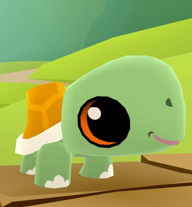 Pet Tortoise | Animal Jam Wiki | Fandom