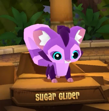 how to draw sugar glider pet