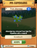 Rosebush | Animal Jam Wiki | Fandom