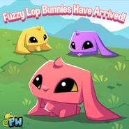 Pet Fuzzy Lop Bunny | Animal Jam Wiki | Fandom