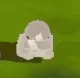 Pet Dove | Animal Jam Wiki | Fandom
