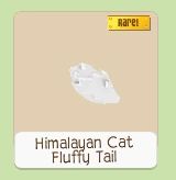 Himalayan Cat Fluffy Tail/Leilani | Animal Jam Wiki | Fandom