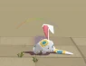 Spring Bunny | Animal Jam Wiki | Fandom