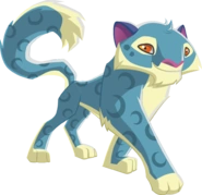 Snow Leopard | Animal Jam Wiki | Fandom