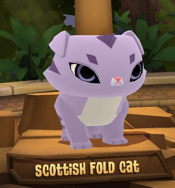 Scottish Fold Cat | Animal Jam Wiki | Fandom