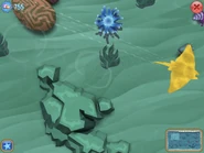 Touch Pool | Animal Jam Wiki | Fandom